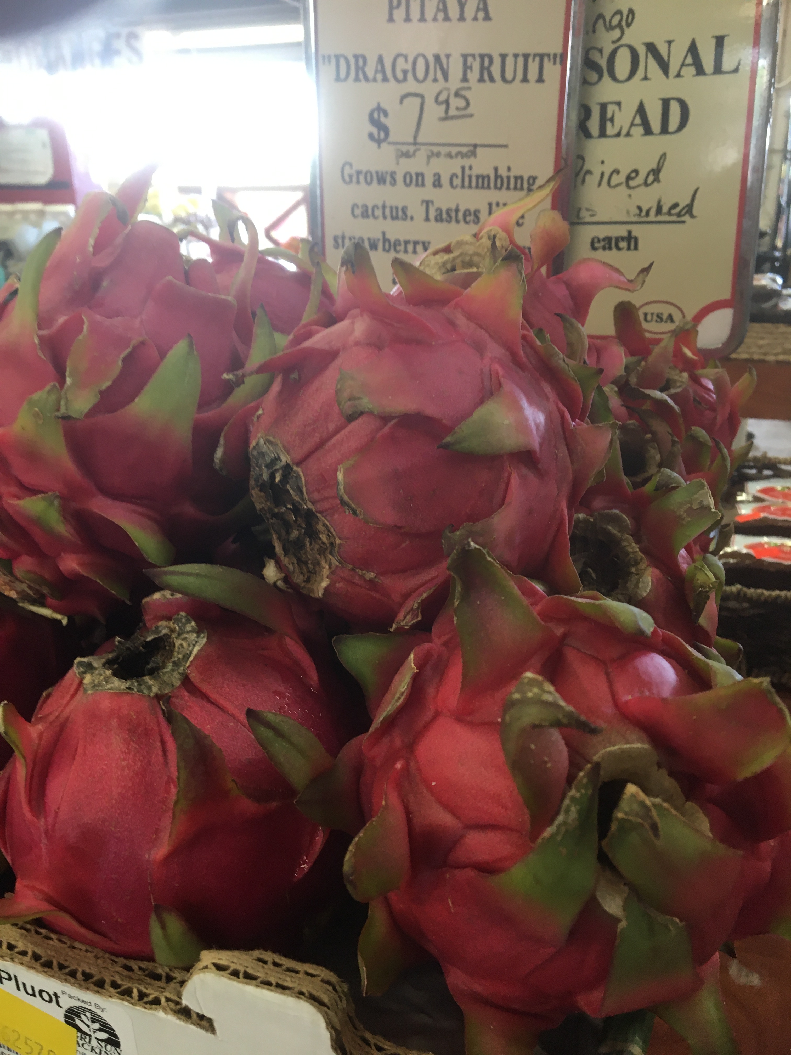 Day 5: 74 miles from Miami Beach to Key Largo – Exploring by bicycle