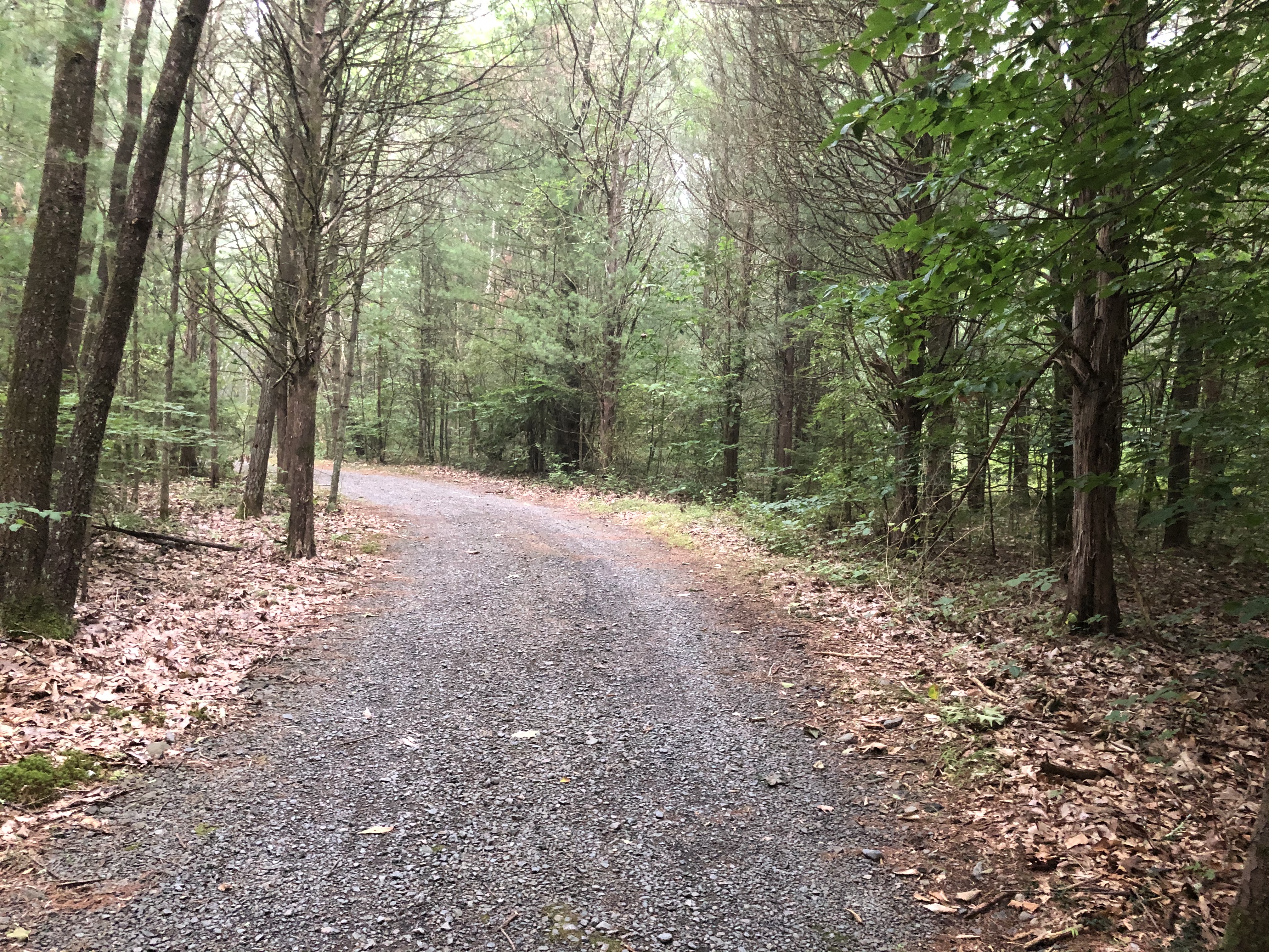 What it’s like to bike on the McDade Recreational Trail in the Delaware ...
