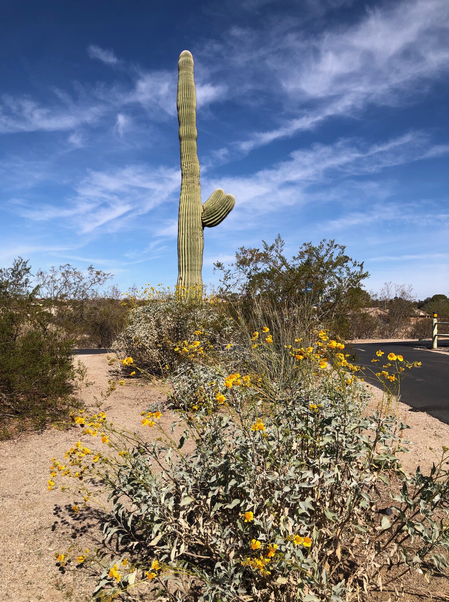 2 days of bicycling on Tucson’s Loop Trail – Exploring by bicycle
