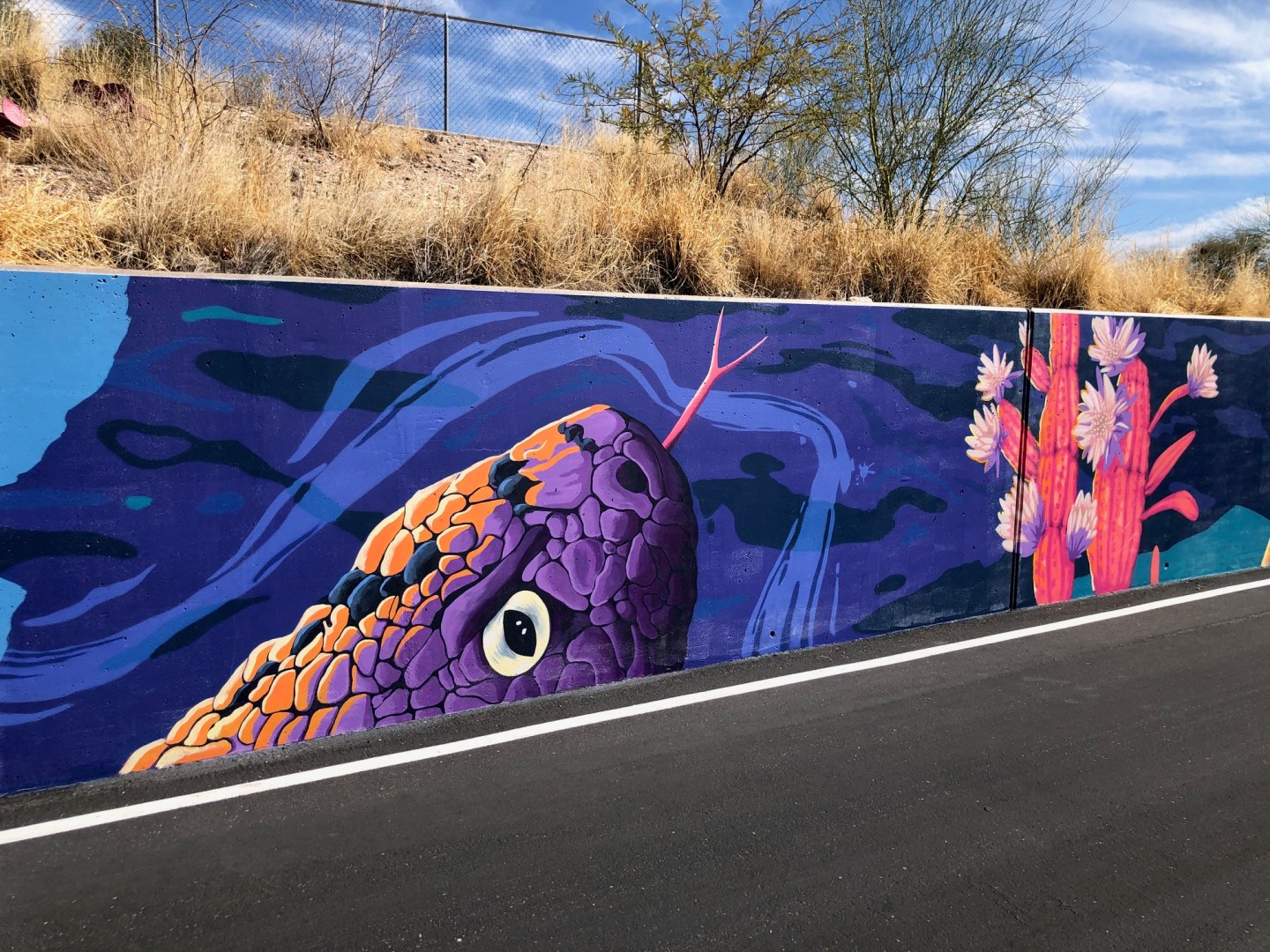 2 days of bicycling on Tucson’s Loop Trail – Exploring by bicycle